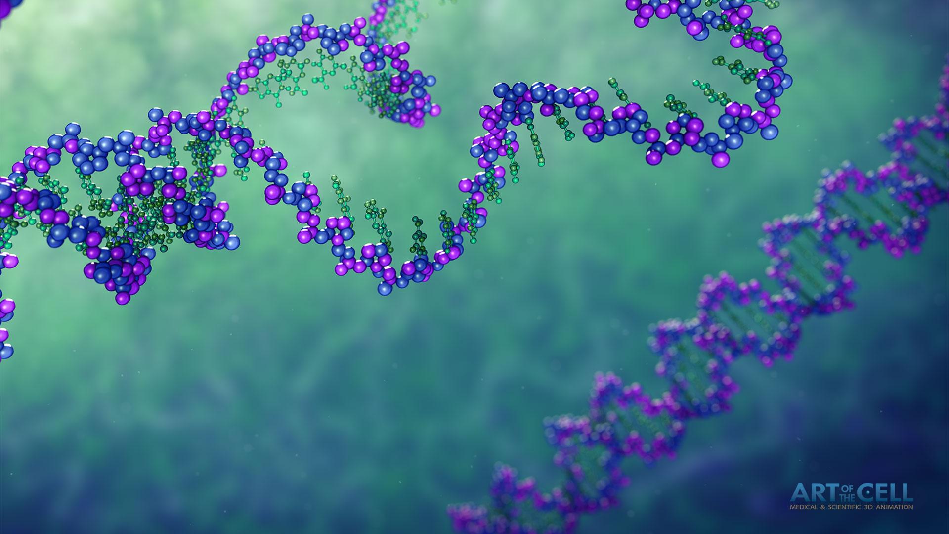 Medical Art Wallpapers - Top Free Medical Art Backgrounds - WallpaperAccess