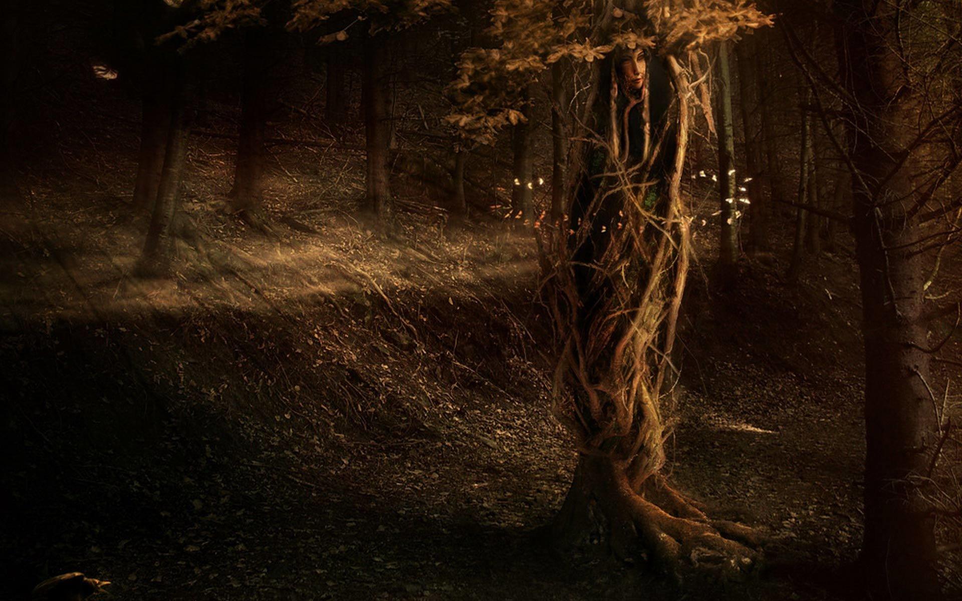 Dryad Wallpapers - Top Free Dryad Backgrounds - WallpaperAccess