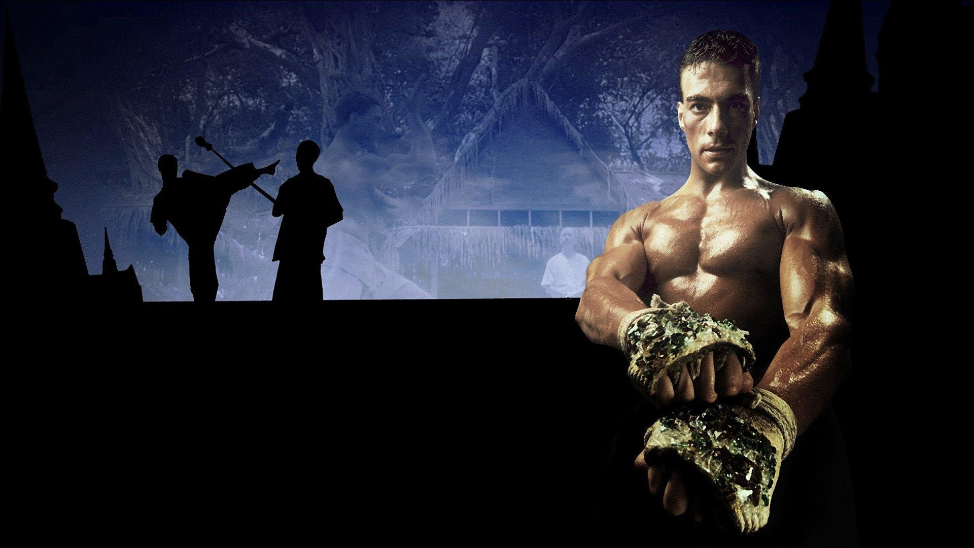 Kickboxer Wallpapers - Top Free Kickboxer Backgrounds - WallpaperAccess
