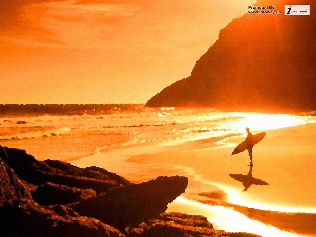 Brazil Beach Wallpapers - Top Free Brazil Beach Backgrounds ...