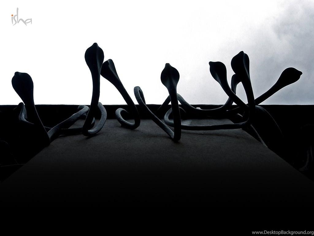 Isha Foundation Wallpapers - Top Free Isha Foundation Backgrounds ...