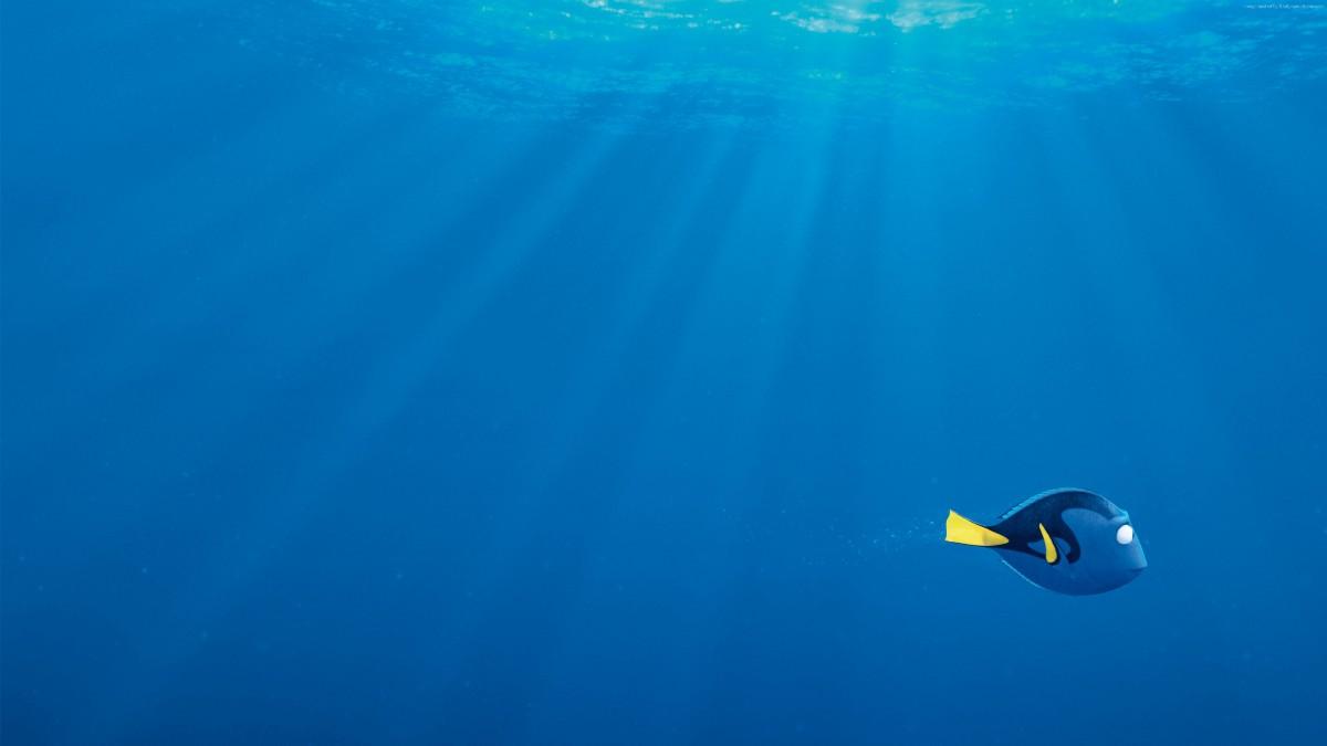 Just Keep Swimming Wallpapers - Top Free Just Keep Swimming Backgrounds ...