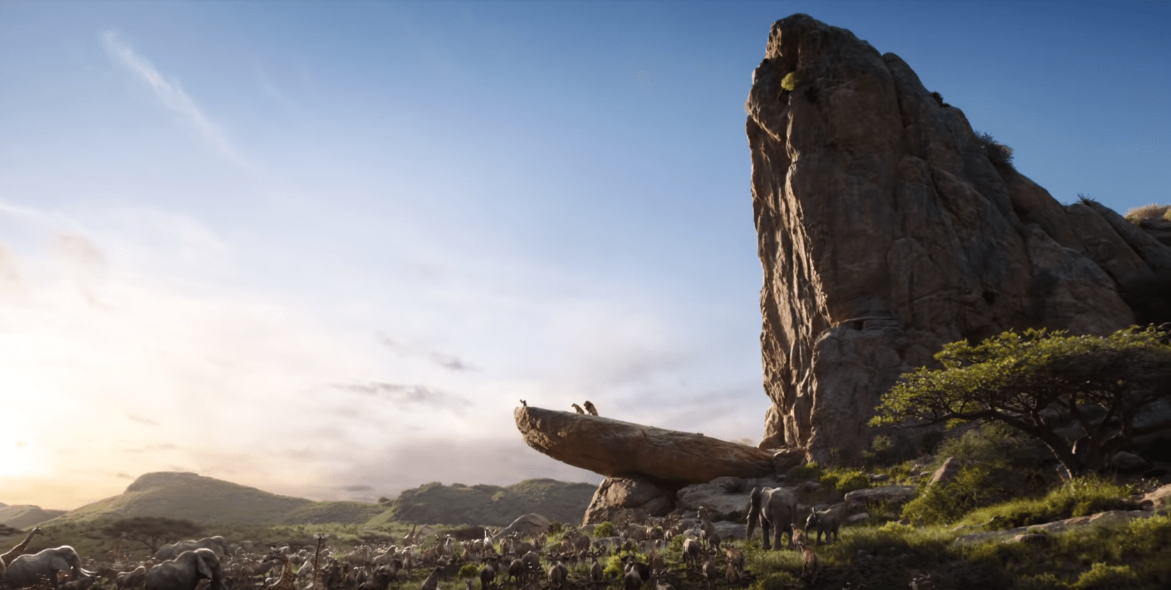 Pride Rock Wallpapers - Top Free Pride Rock Backgrounds - WallpaperAccess