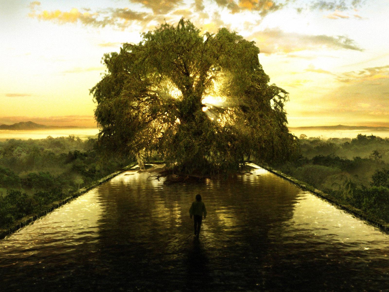 The Tree of Life Wallpapers - Top Free The Tree of Life Backgrounds ...