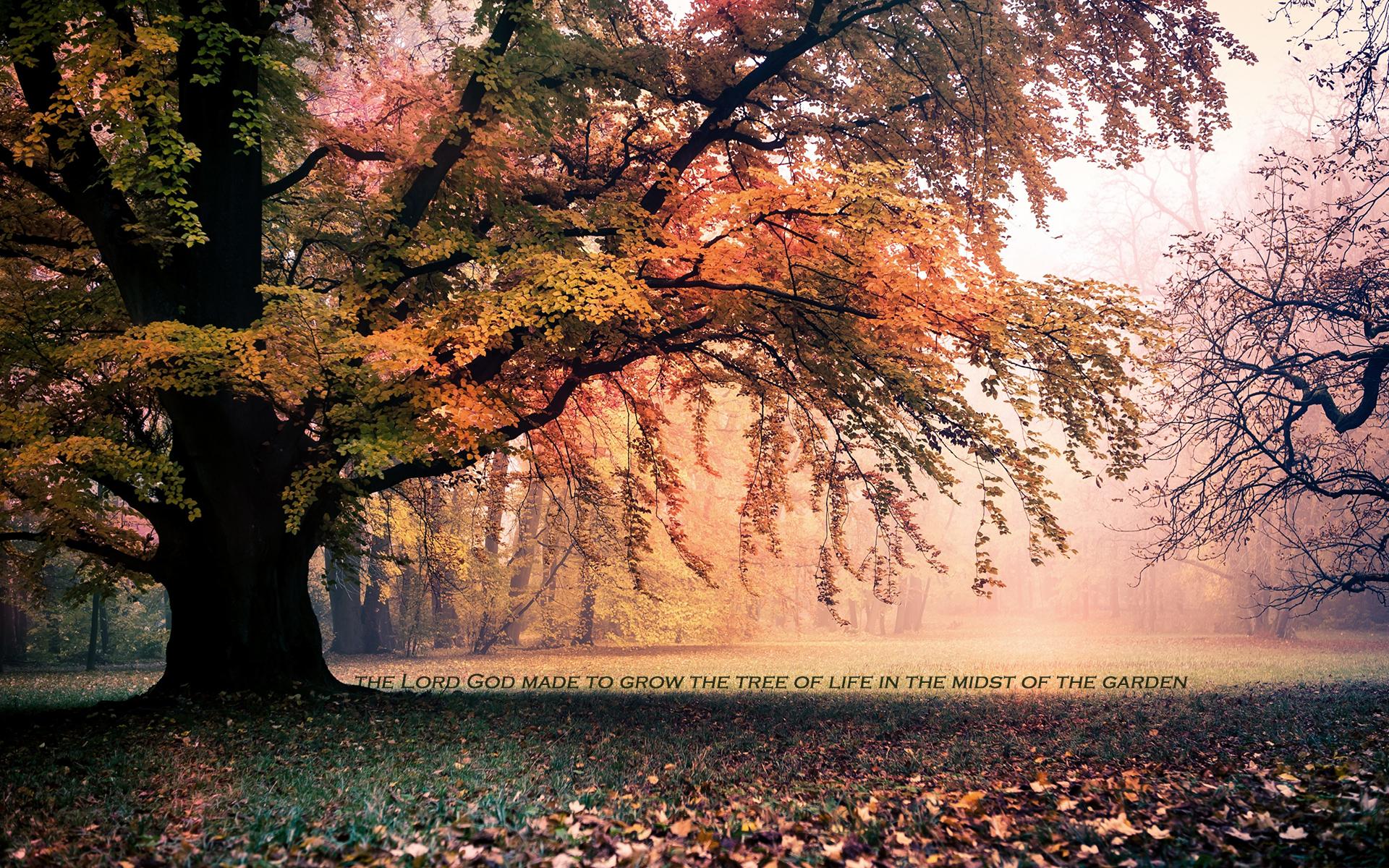Nature and God Wallpapers - Top Free Nature and God Backgrounds ...