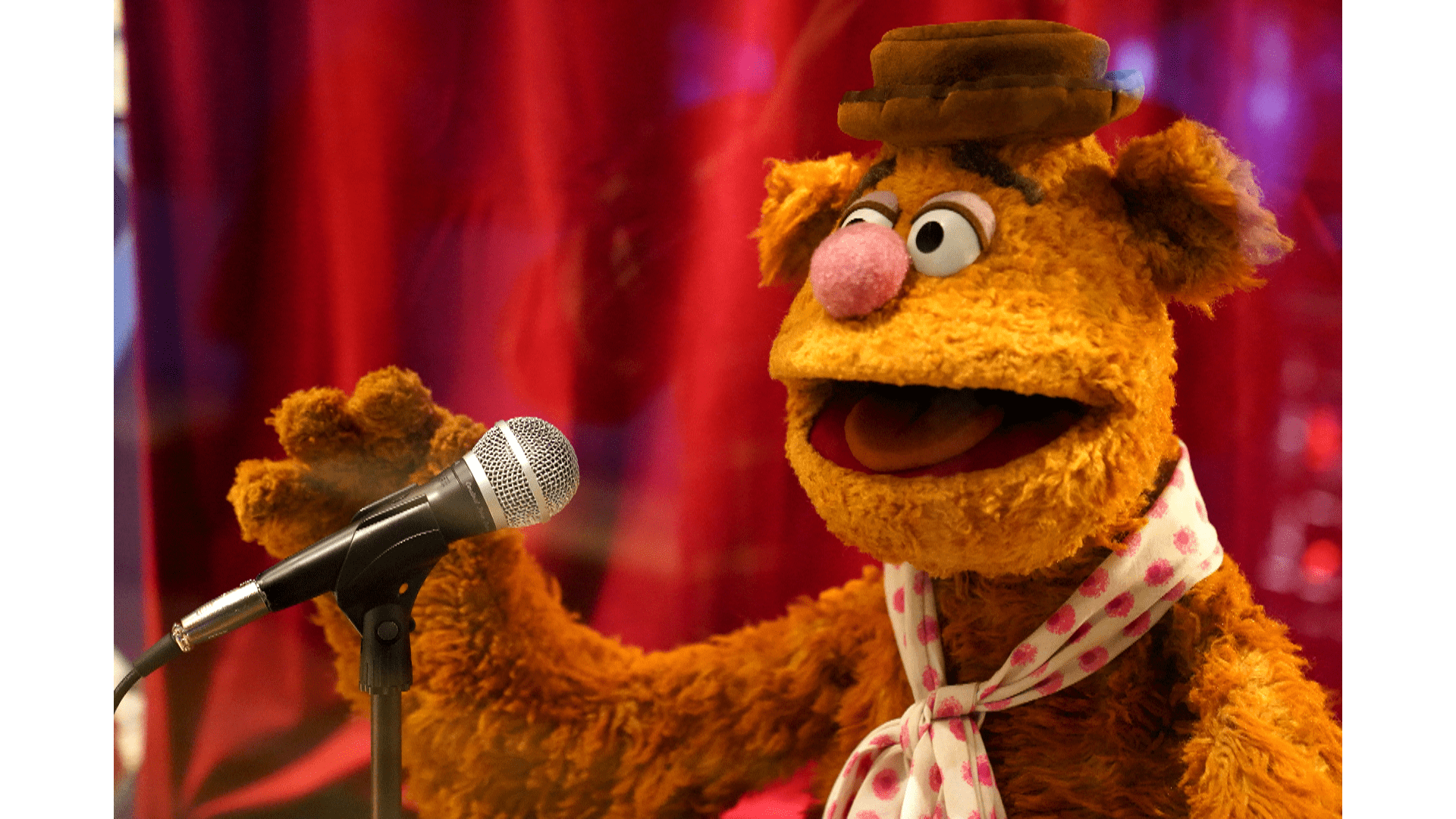 Fozzie Bear Wallpapers - Top Free Fozzie Bear Backgrounds - WallpaperAccess