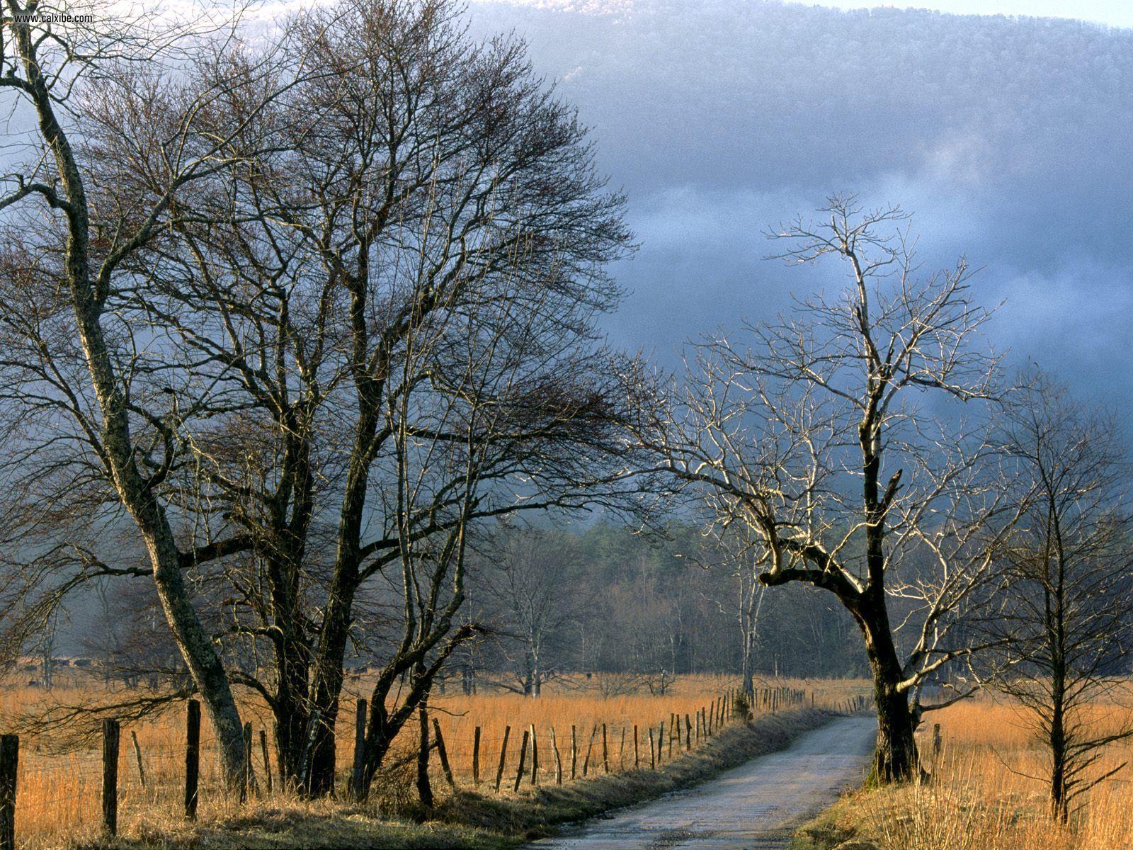 Cades Cove Wallpapers - Top Free Cades Cove Backgrounds - WallpaperAccess