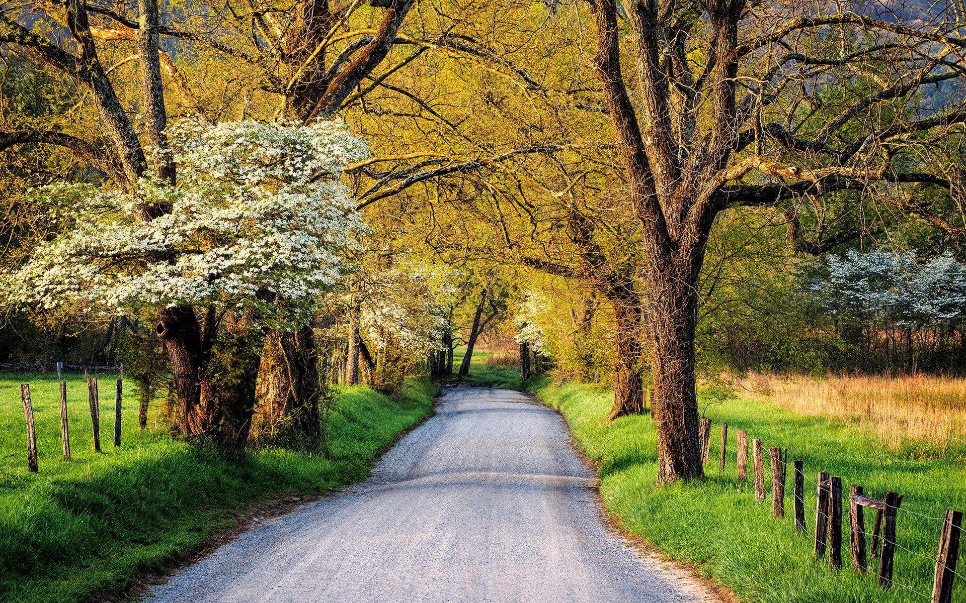 Cades Cove Wallpapers - Top Free Cades Cove Backgrounds - WallpaperAccess
