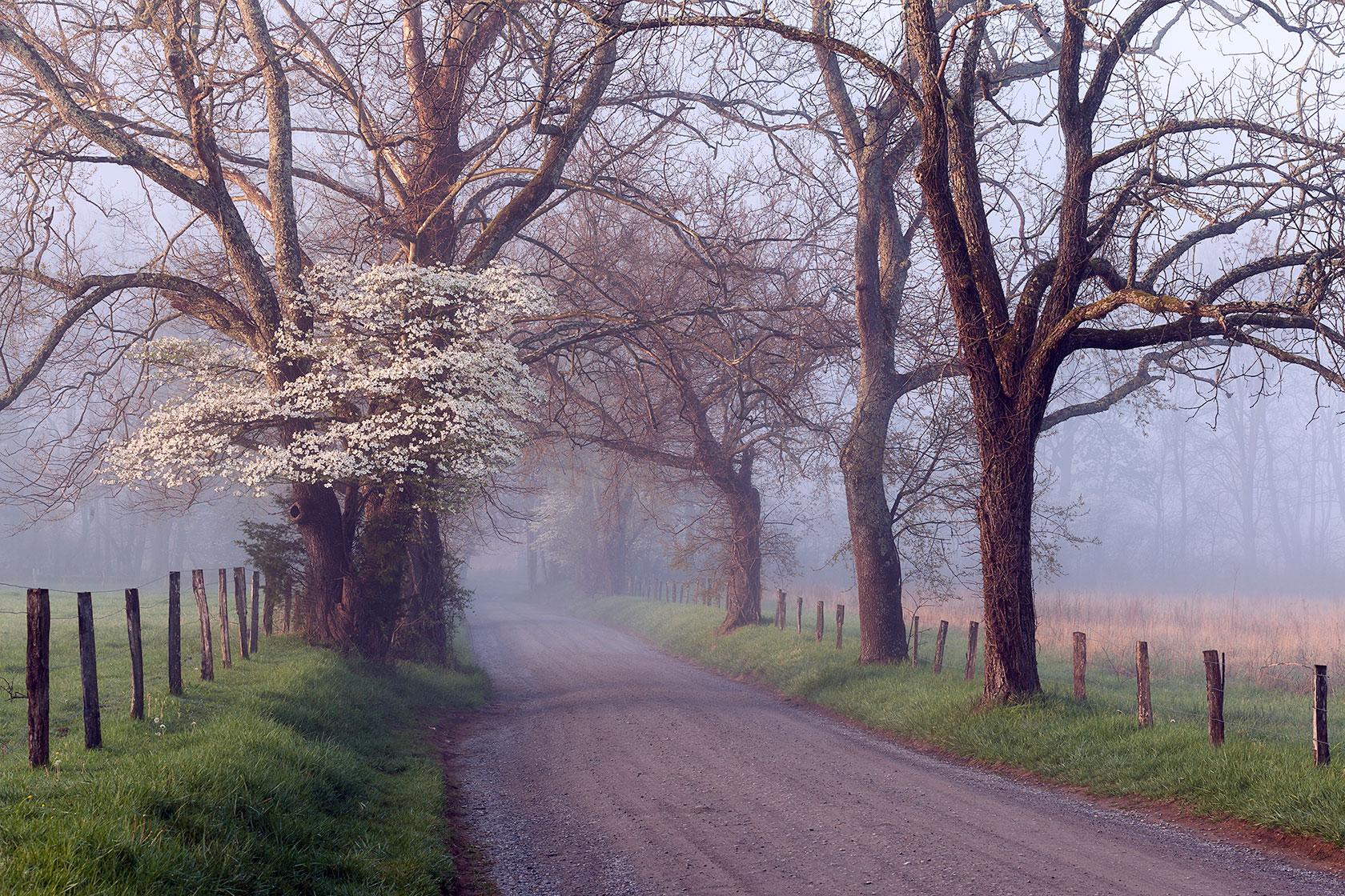 Cades Cove Wallpapers - Top Free Cades Cove Backgrounds - WallpaperAccess