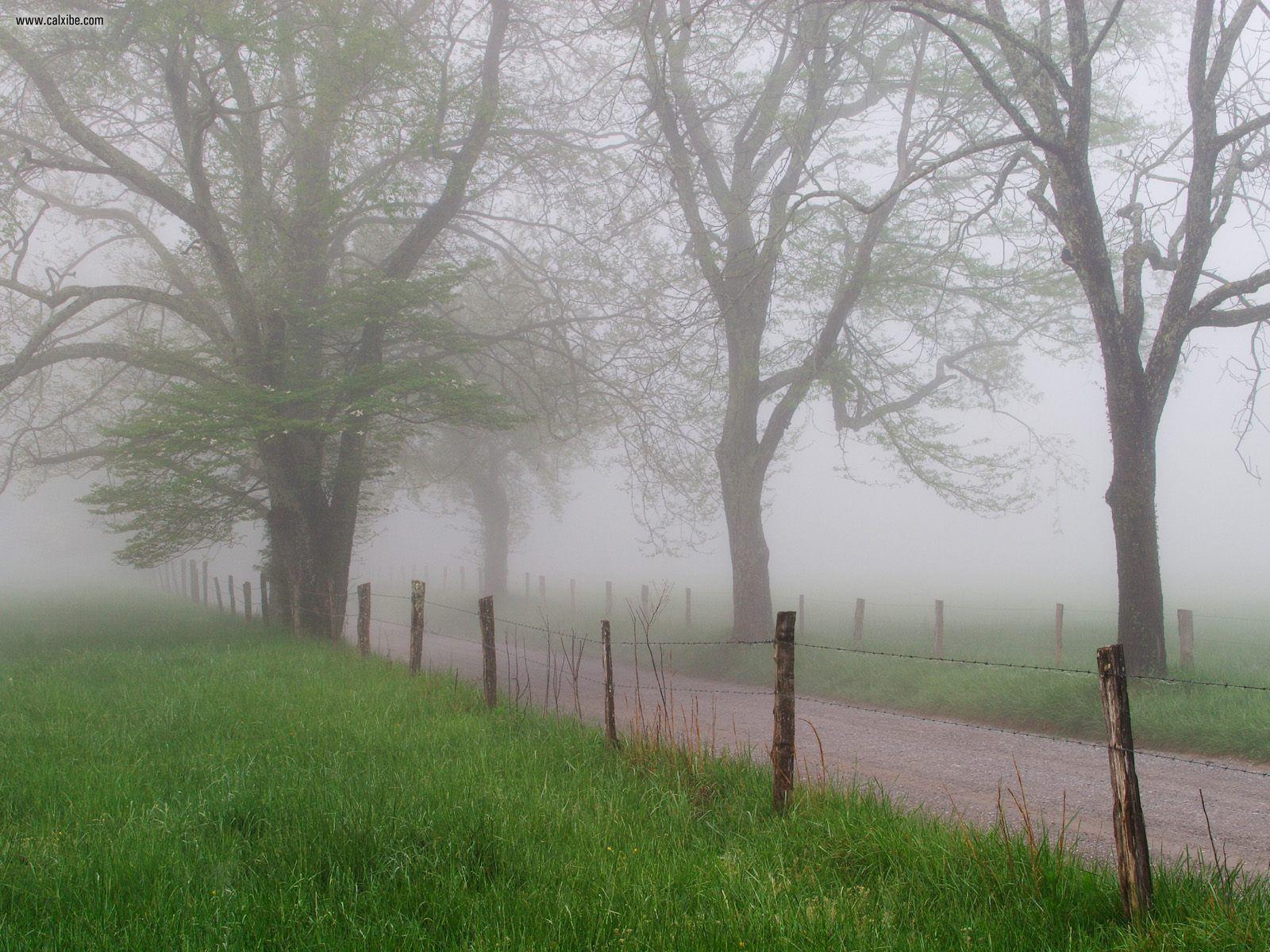 Cades Cove Wallpapers - Top Free Cades Cove Backgrounds - WallpaperAccess