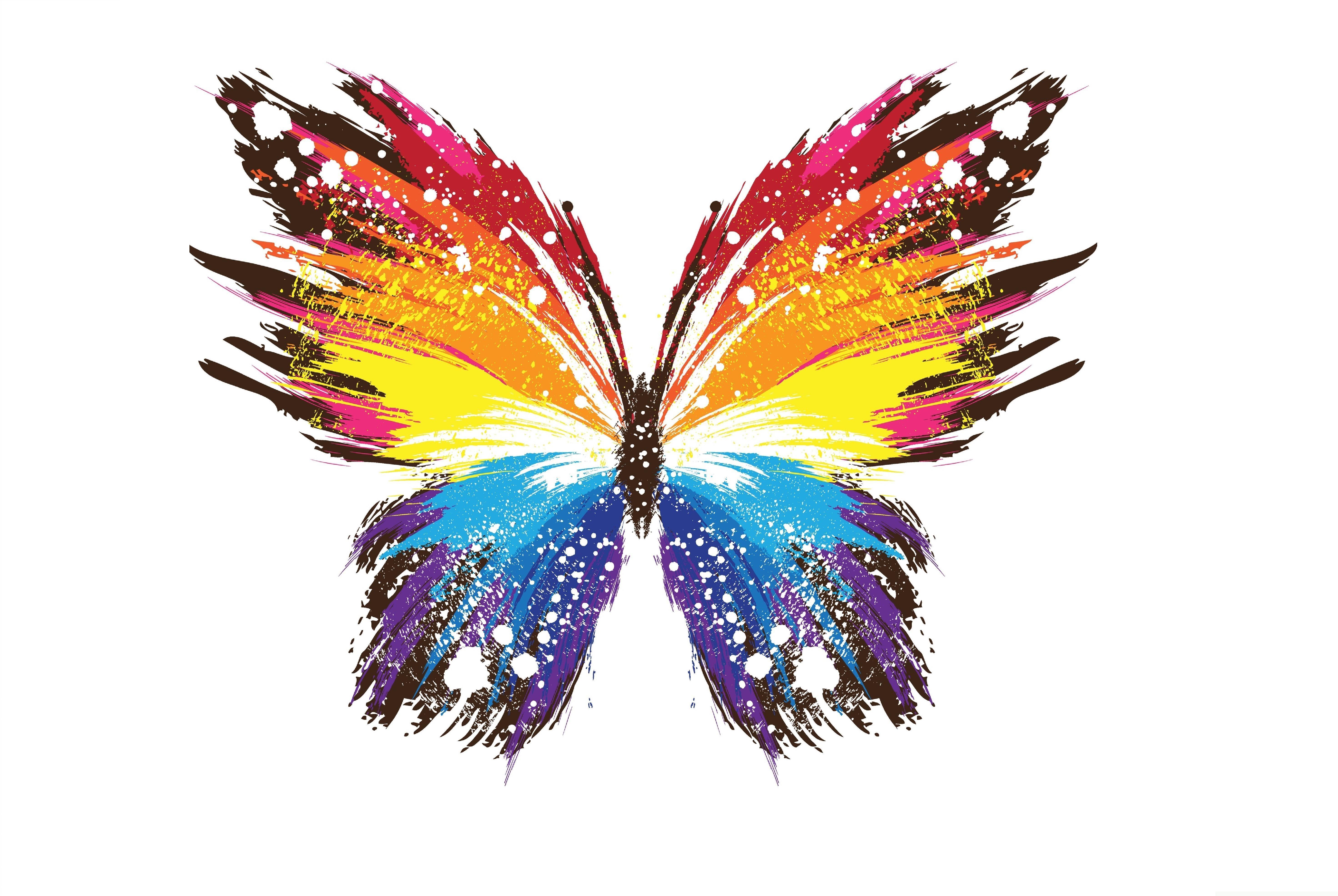 Colourful Butterfly HD Wallpapers - Top Free Colourful Butterfly HD ...