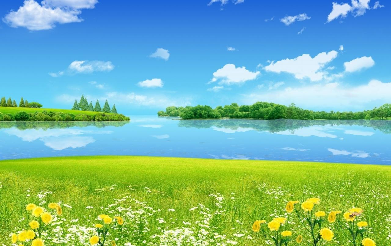 Summer Meadow Wallpapers - Top Free Summer Meadow Backgrounds ...