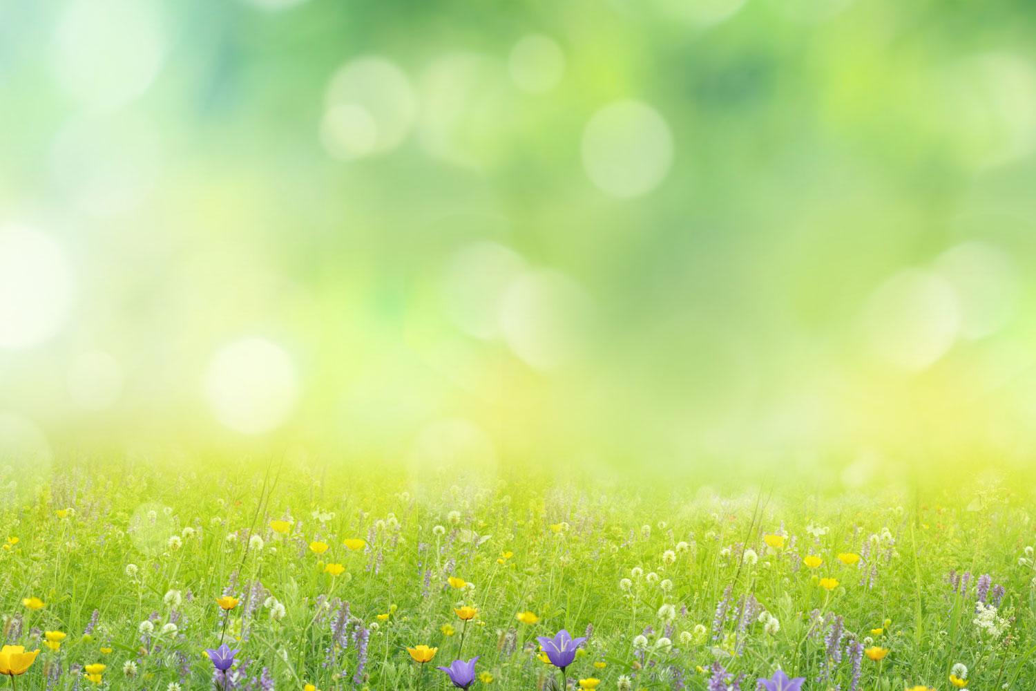 Summer Meadow Wallpapers - Top Free Summer Meadow Backgrounds ...