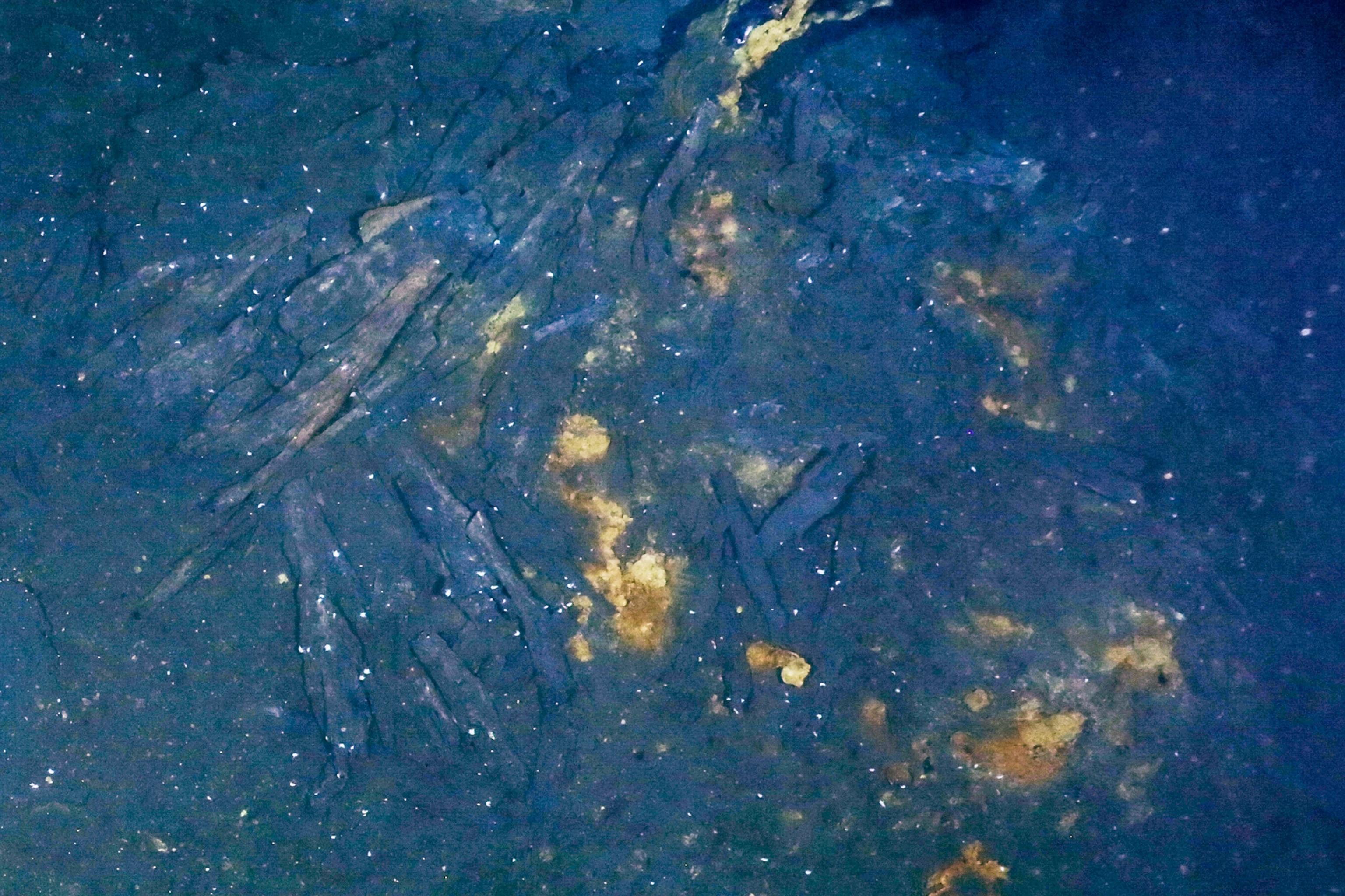 Alien Smoking Wallpapers - Top Free Alien Smoking Backgrounds ...