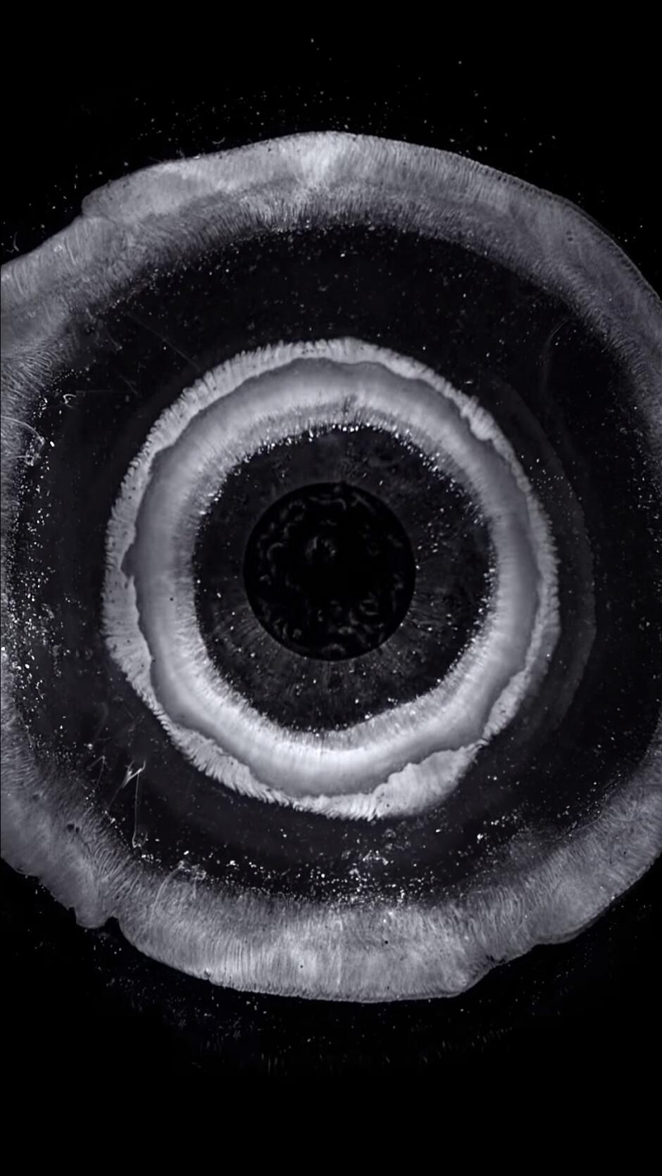 Jet Black Wallpapers - Top Free Jet Black Backgrounds - WallpaperAccess