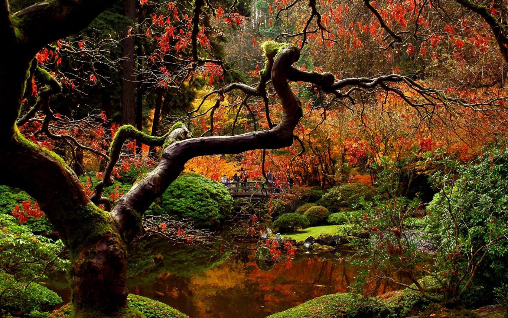 Zen Summer Wallpapers - Top Free Zen Summer Backgrounds - WallpaperAccess