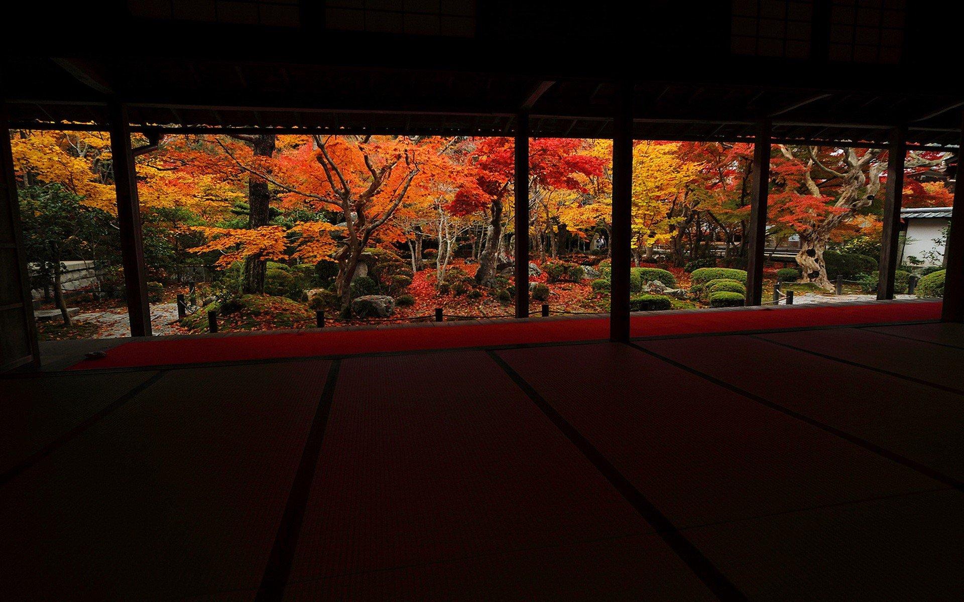 Dojo Desktop Wallpapers - Top Free Dojo Desktop Backgrounds ...