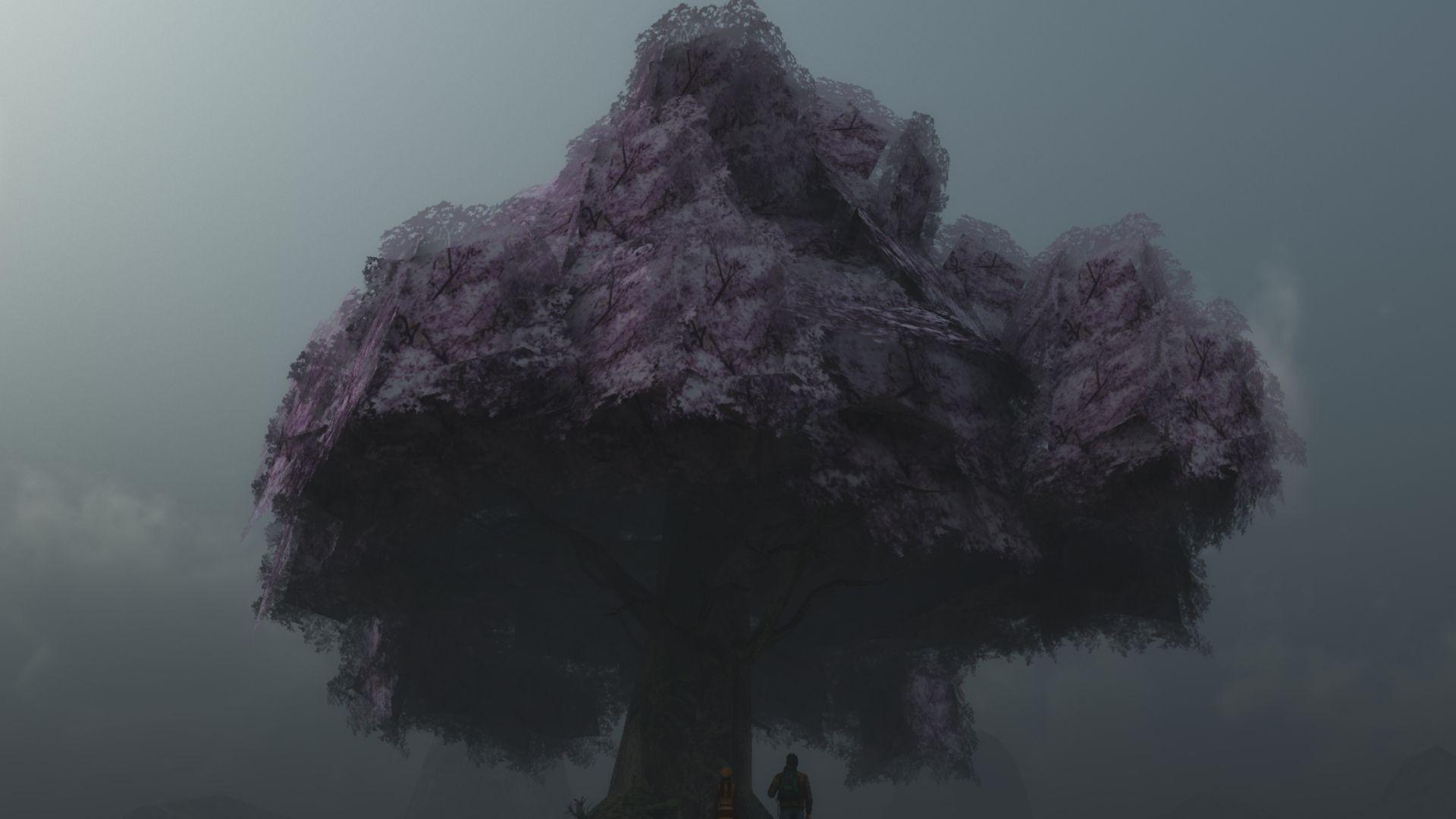 Dojo Desktop Wallpapers - Top Free Dojo Desktop Backgrounds ...