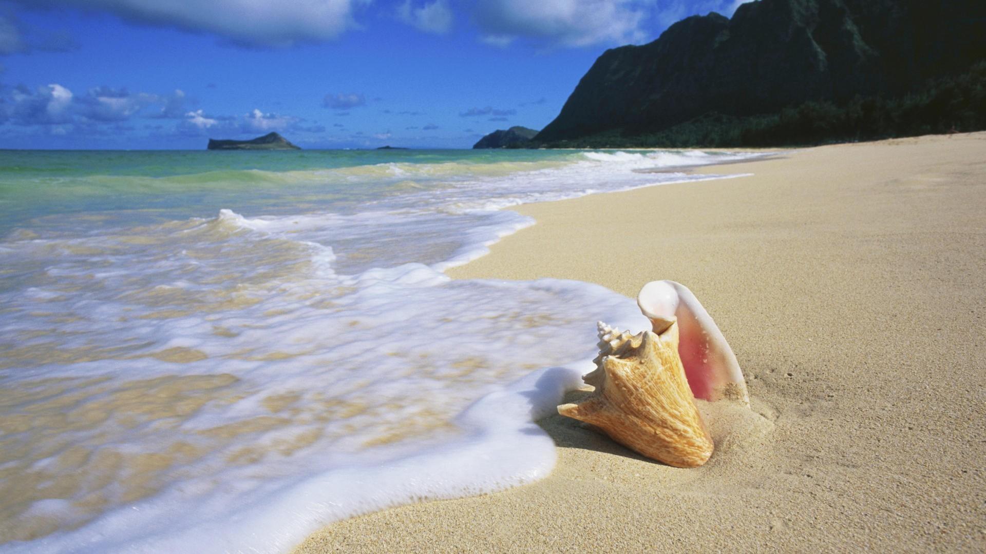 Oahu Beach Wallpapers - Top Free Oahu Beach Backgrounds - WallpaperAccess