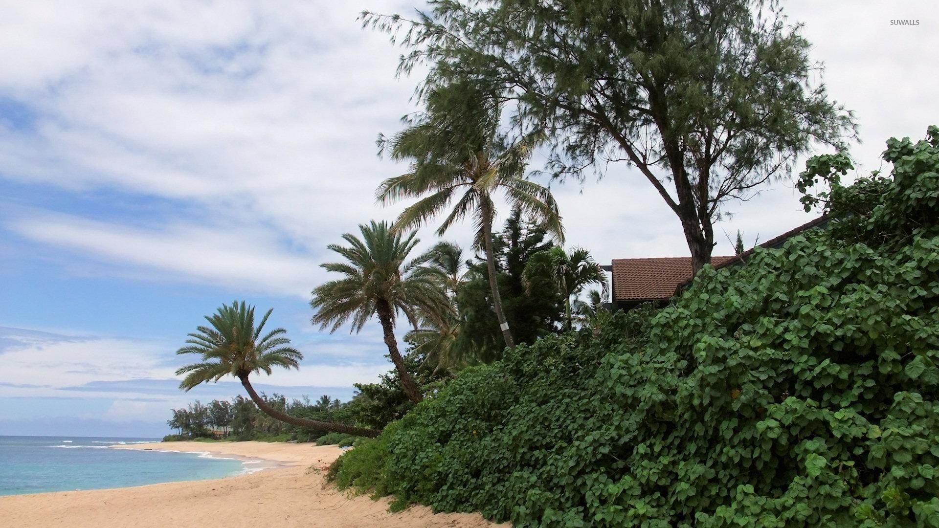 Oahu Beach Wallpapers - Top Free Oahu Beach Backgrounds - WallpaperAccess