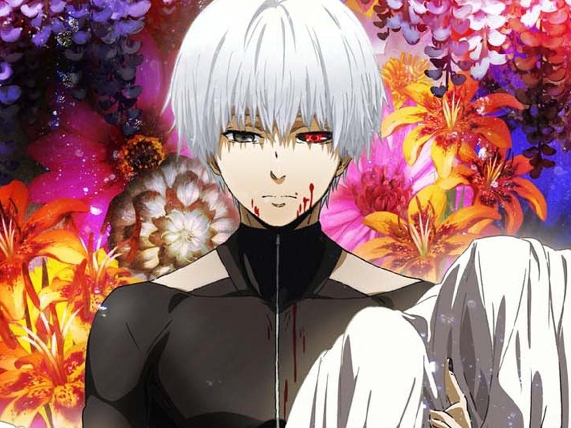 Aogiri Wallpapers - Top Free Aogiri Backgrounds - WallpaperAccess