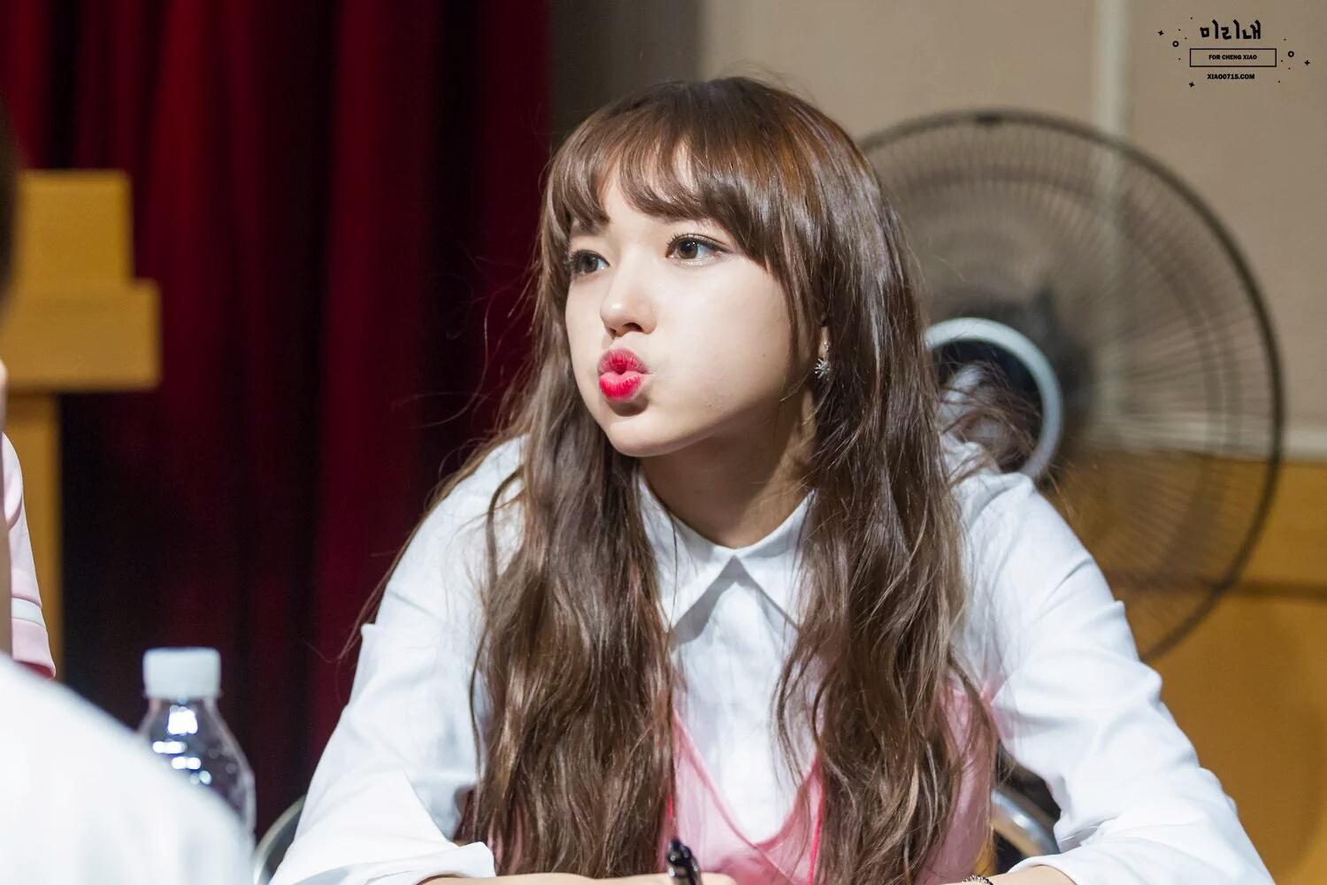 Cheng Xiao Wallpapers - Top Free Cheng Xiao Backgrounds - WallpaperAccess