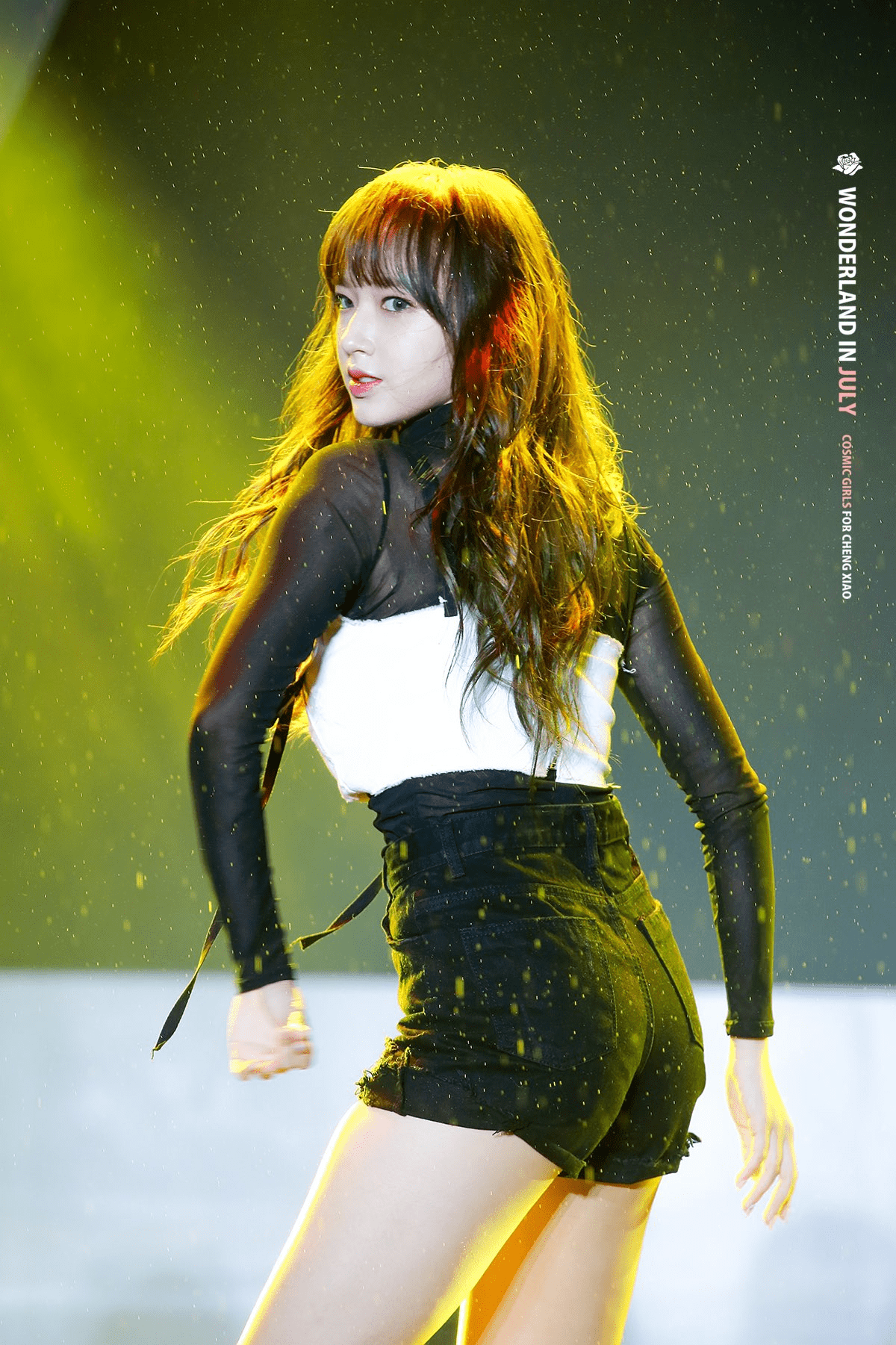 Cheng Xiao Wallpapers - Top Free Cheng Xiao Backgrounds - WallpaperAccess