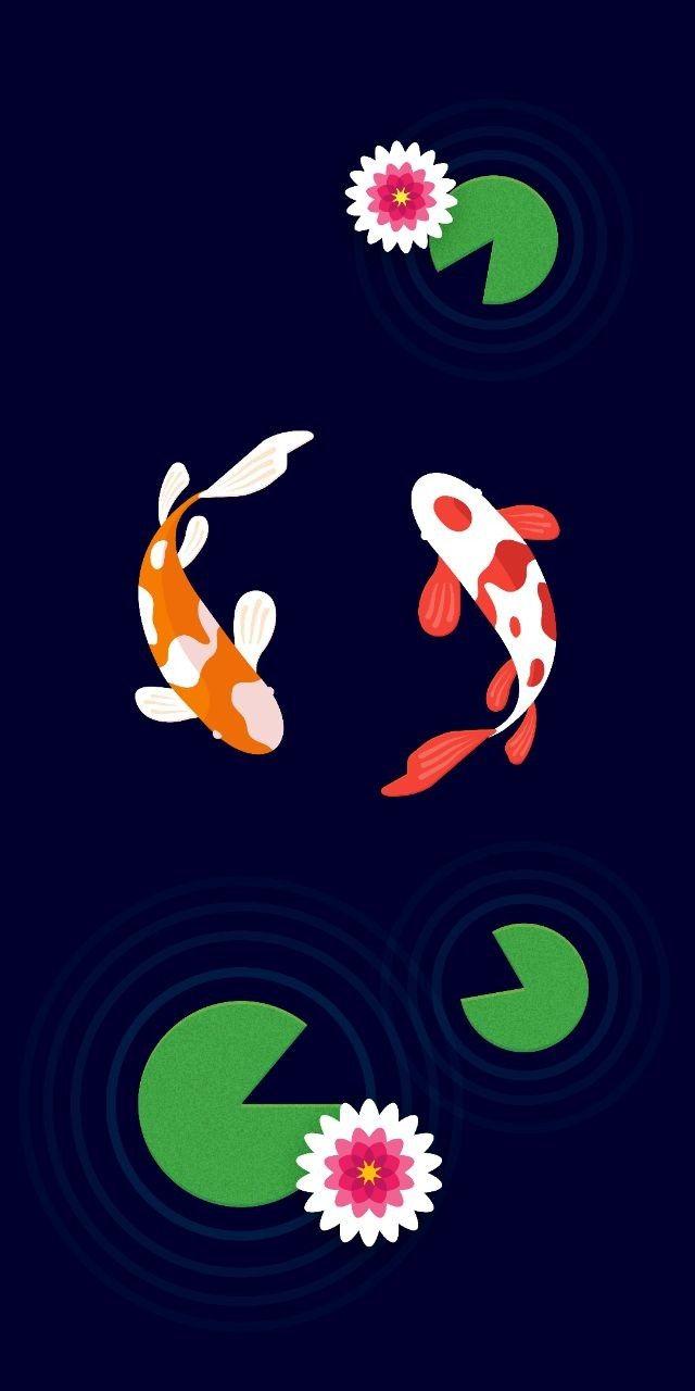 Minimal Fish Wallpapers - Top Free Minimal Fish Backgrounds ...