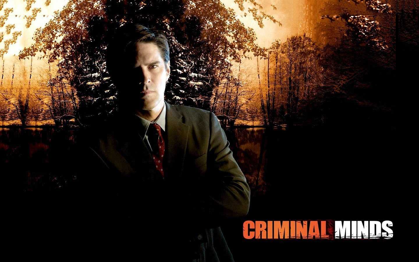 Aaron Hotchner Wallpapers - Top Free Aaron Hotchner Backgrounds ...