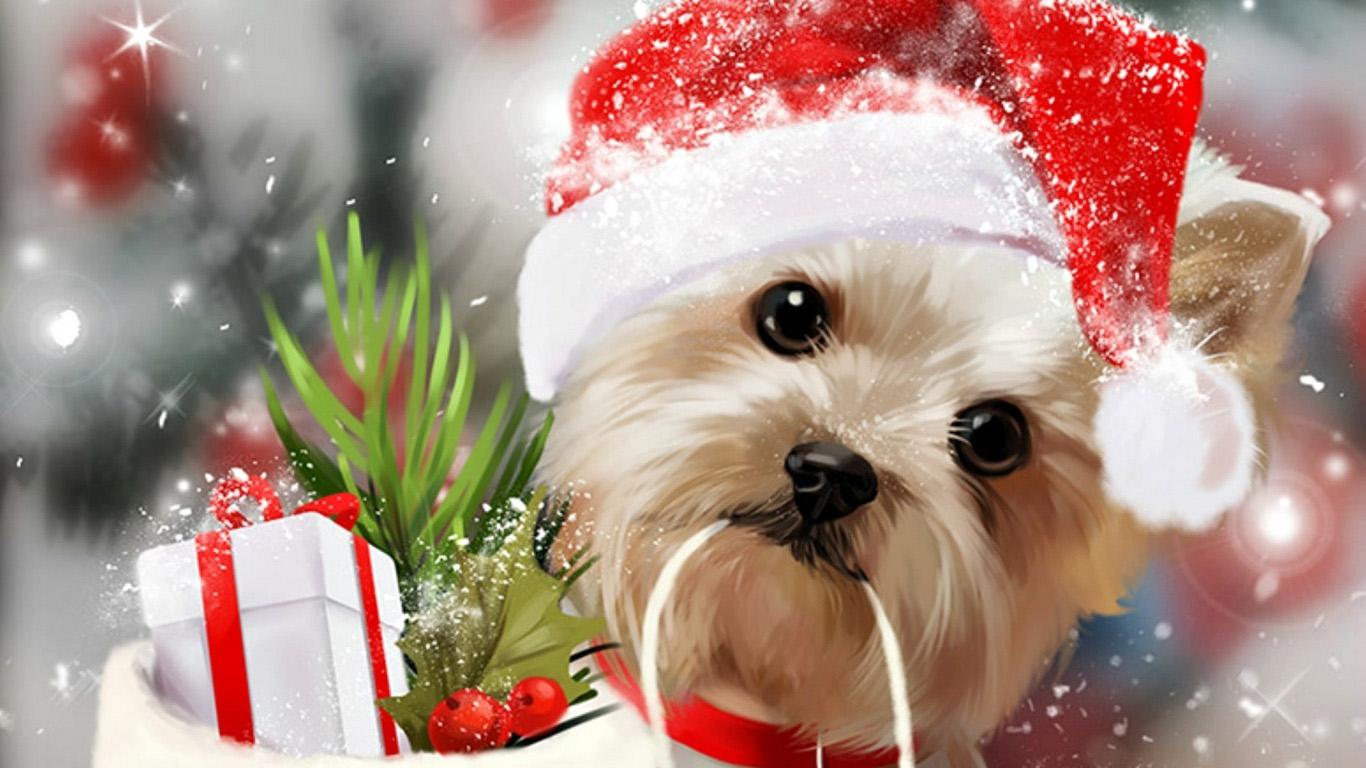 Christmas Yorkie Wallpapers - Top Free Christmas Yorkie Backgrounds ...