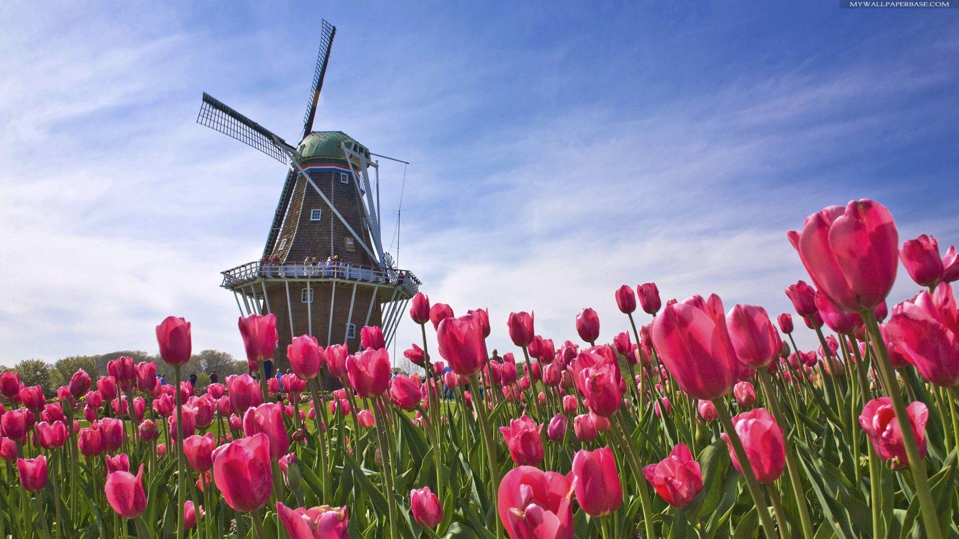 Michigan Spring Wallpapers - Top Free Michigan Spring Backgrounds ...