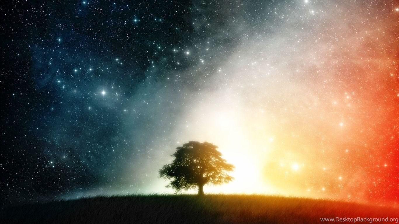 The Tree of Life Wallpapers - Top Free The Tree of Life Backgrounds ...