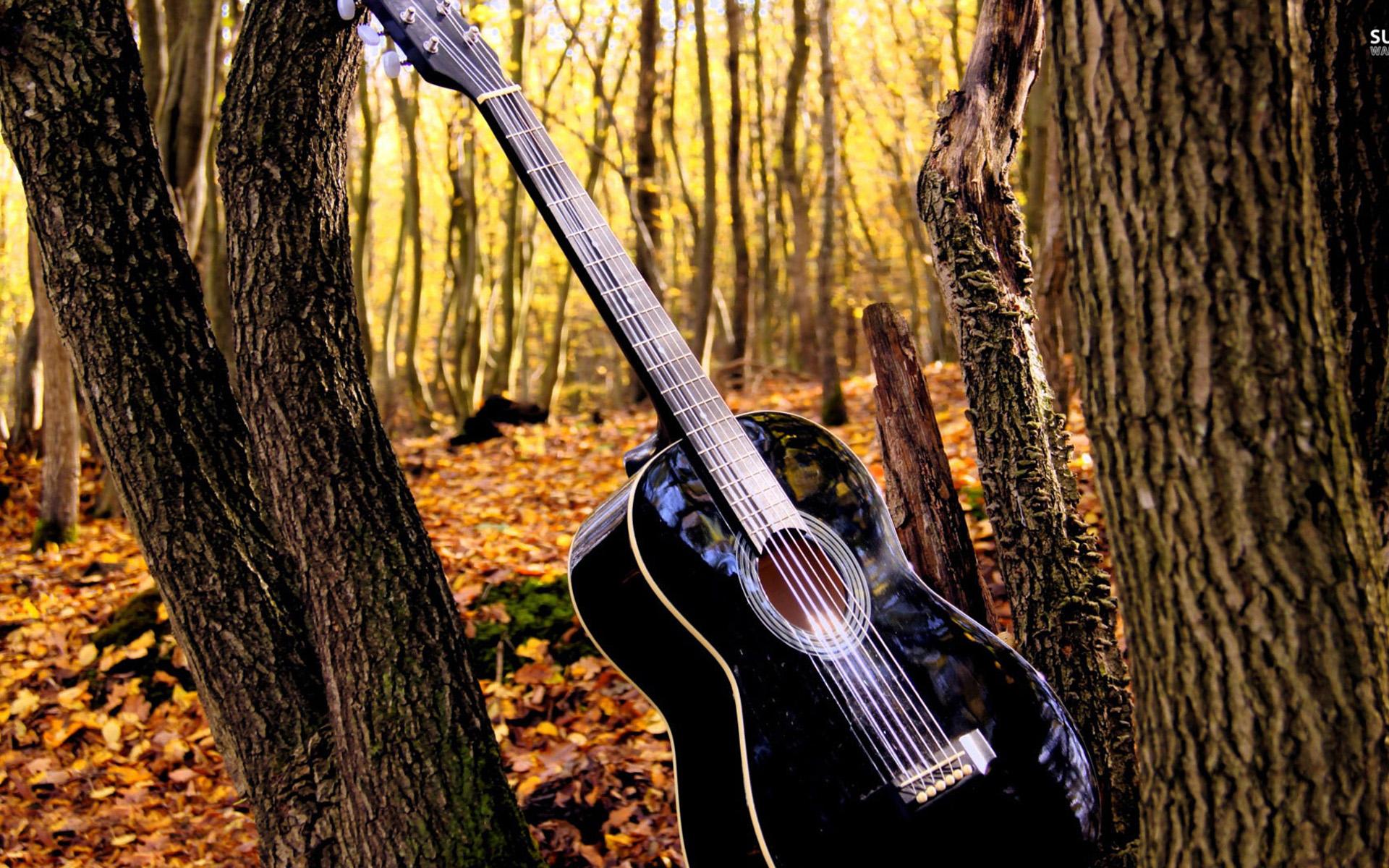 Country Singer Wallpapers - Top Free Country Singer Backgrounds ...