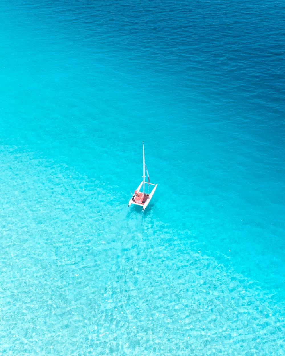 Catamaran Sailing Wallpapers - Top Free Catamaran Sailing Backgrounds ...