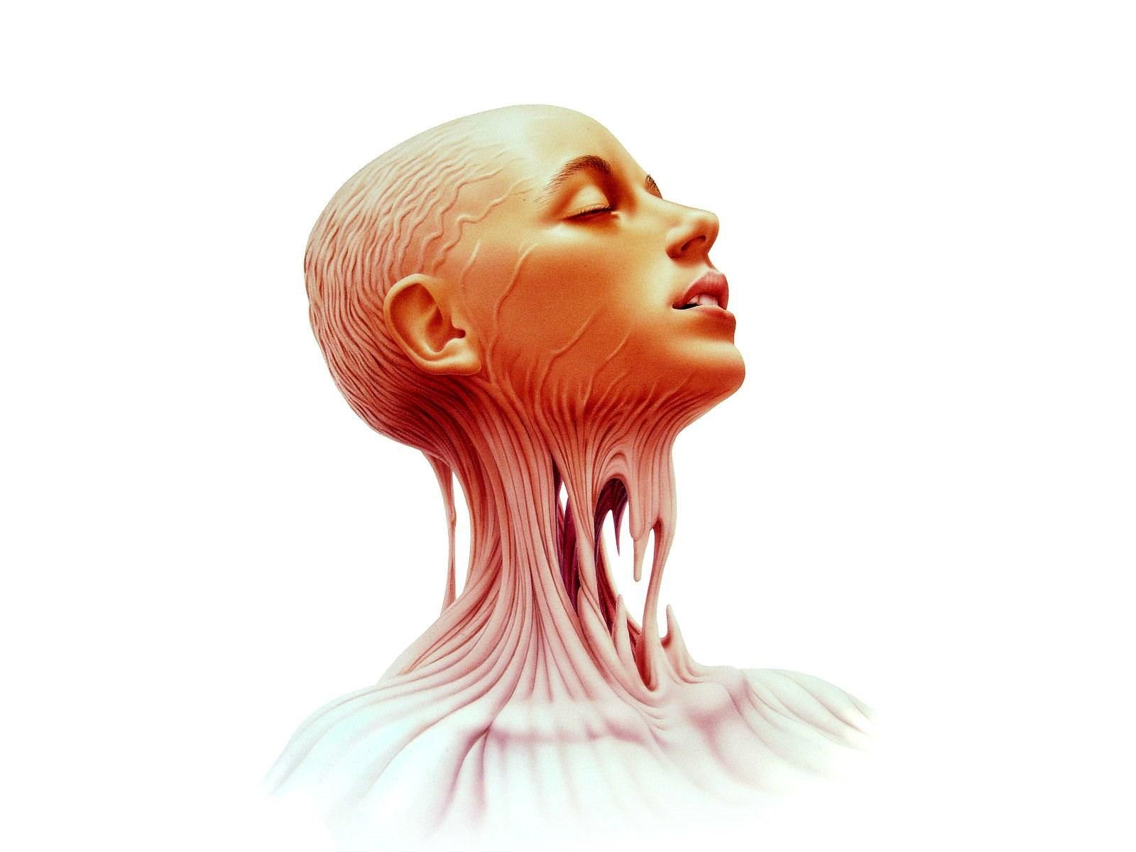 Anatomy Computer Wallpapers - Top Free Anatomy Computer Backgrounds ...