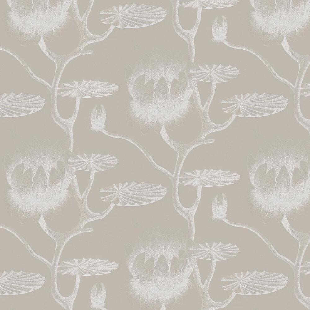 Light Beige Wallpapers - Top Free Light Beige Backgrounds - WallpaperAccess