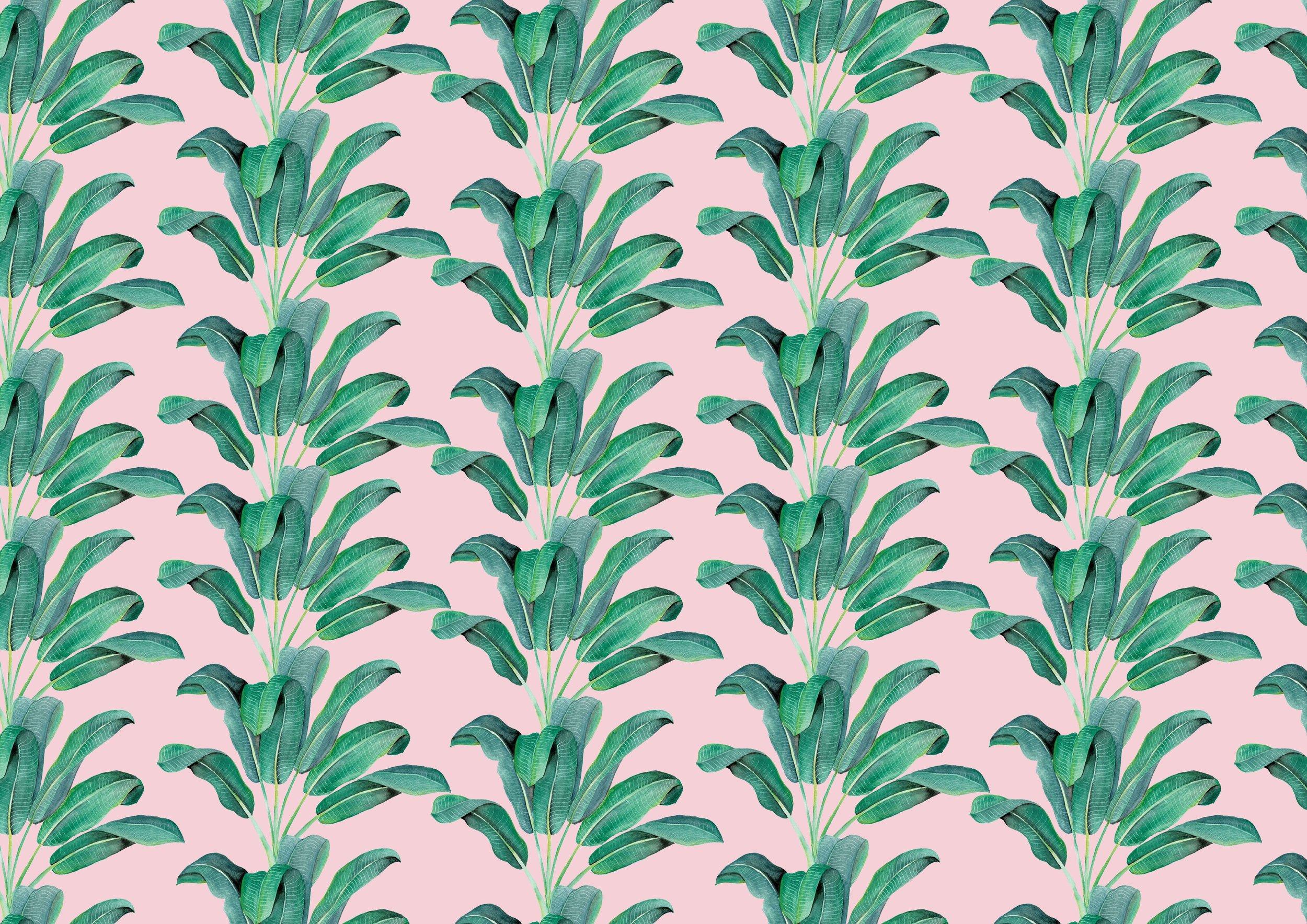 Pot Plant Wallpapers - Top Free Pot Plant Backgrounds - WallpaperAccess