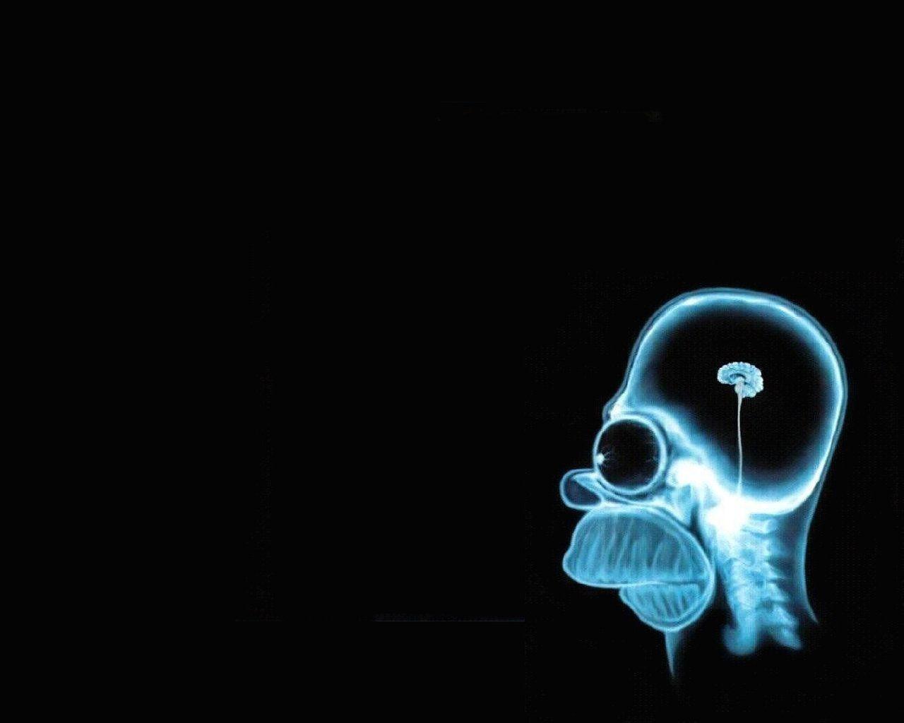 Funny Medical Wallpapers - Top Free Funny Medical Backgrounds ...