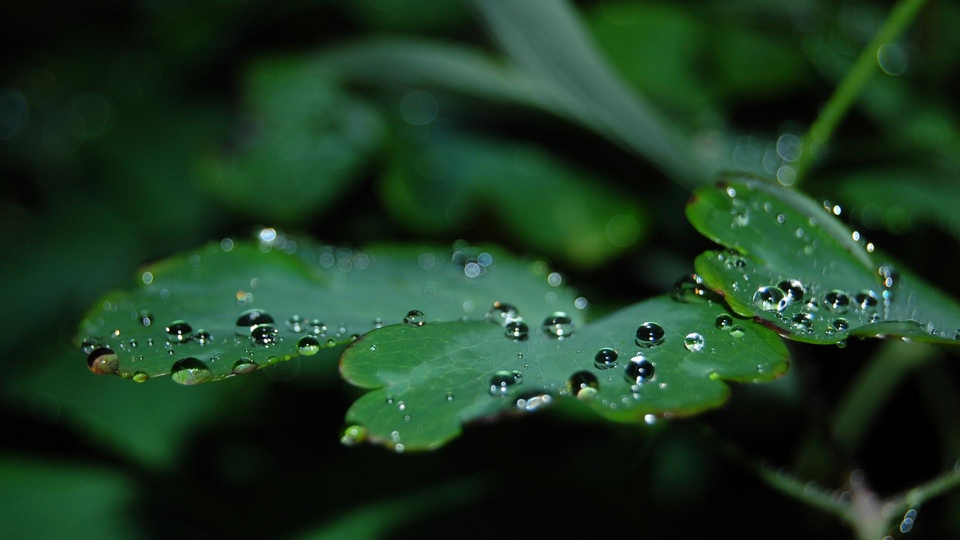 Protection Wallpapers - Top Free Protection Backgrounds - WallpaperAccess