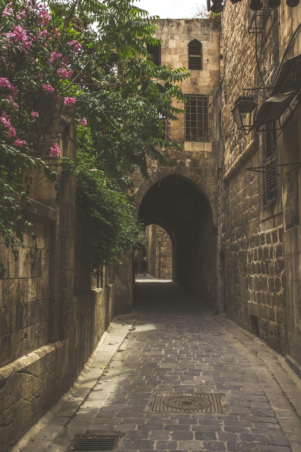 Aleppo Wallpapers - Top Free Aleppo Backgrounds - WallpaperAccess