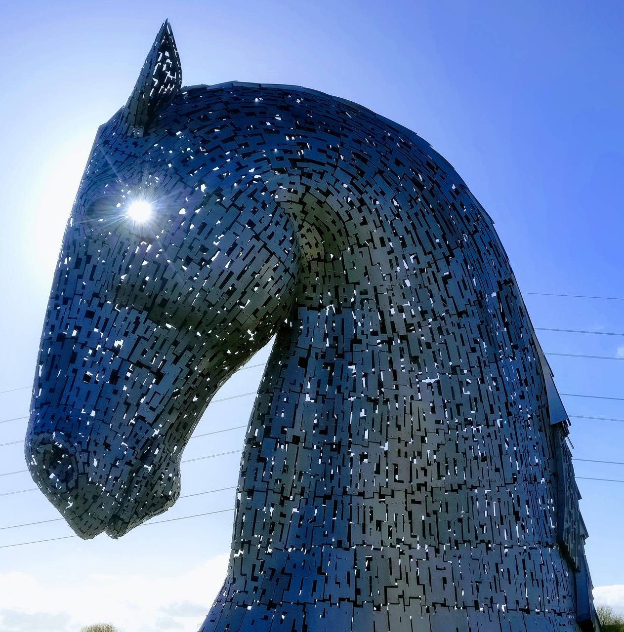 Kelpie Wallpapers - Top Free Kelpie Backgrounds - WallpaperAccess