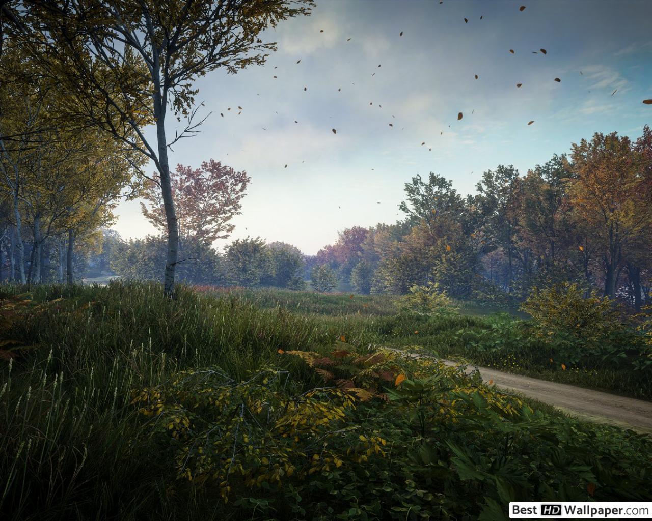 Windy Wallpapers - Top Free Windy Backgrounds - WallpaperAccess