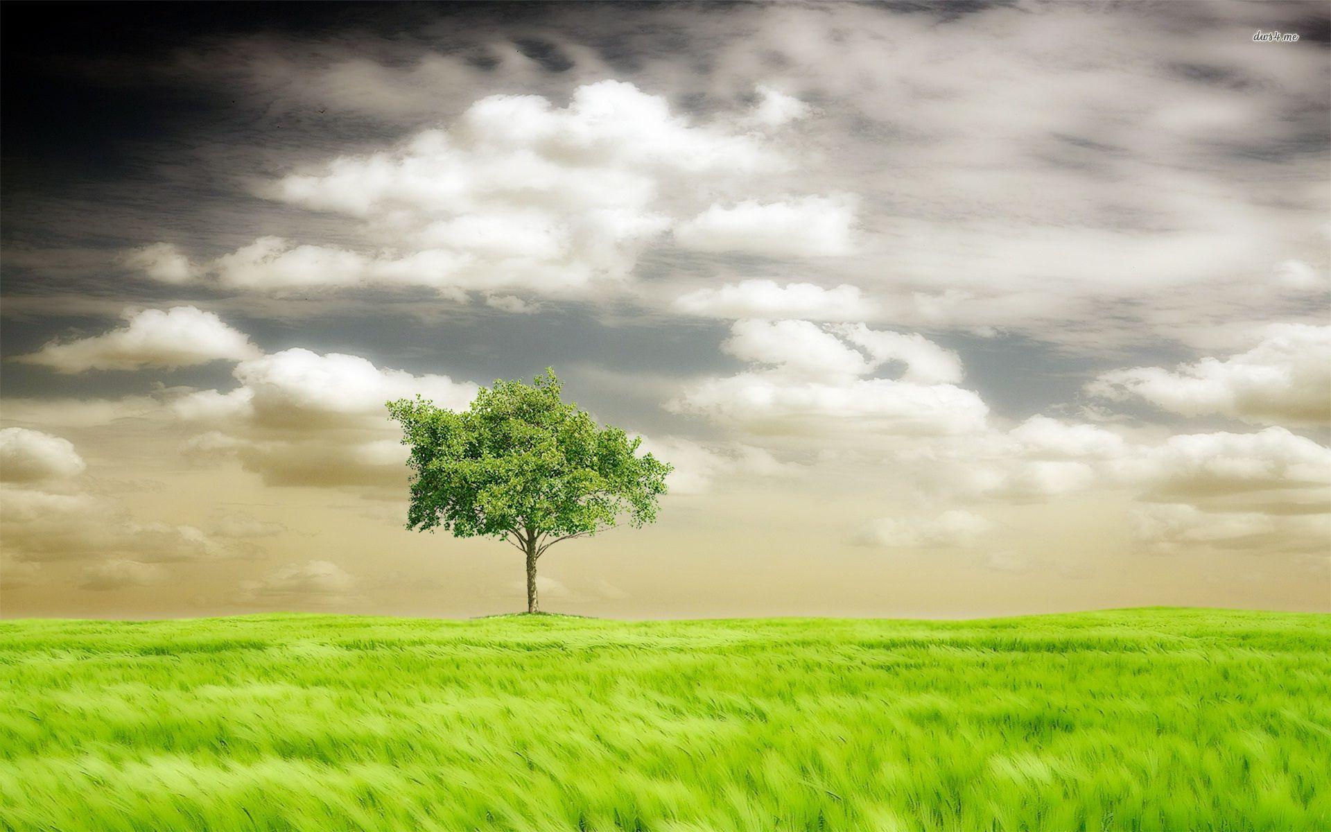 Windy Wallpapers - Top Free Windy Backgrounds - WallpaperAccess