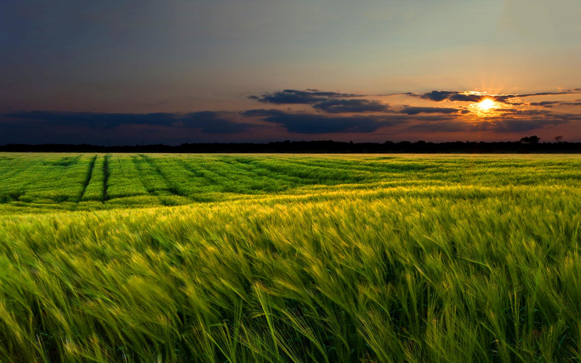 Windy Wallpapers - Top Free Windy Backgrounds - WallpaperAccess