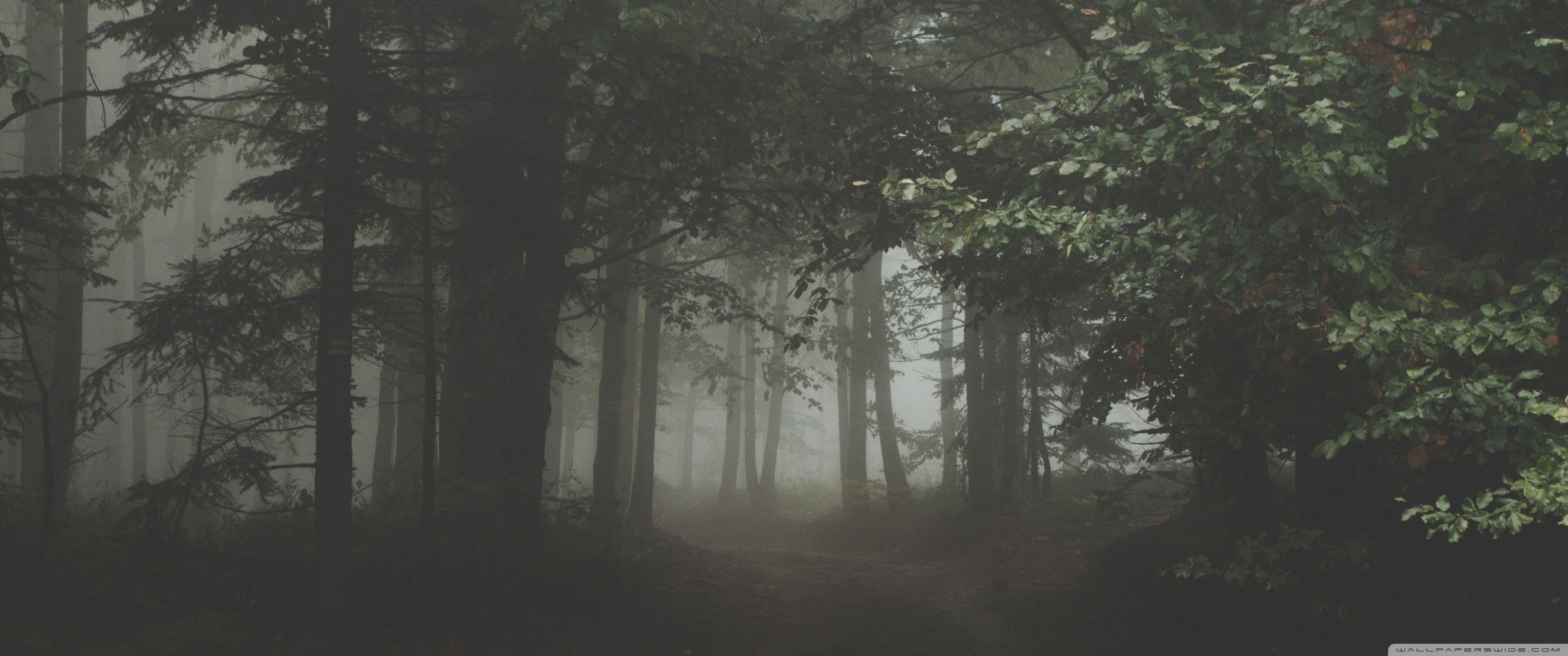 34 Best Free Gray Ultra Wide 4K Wallpapers - WallpaperAccess