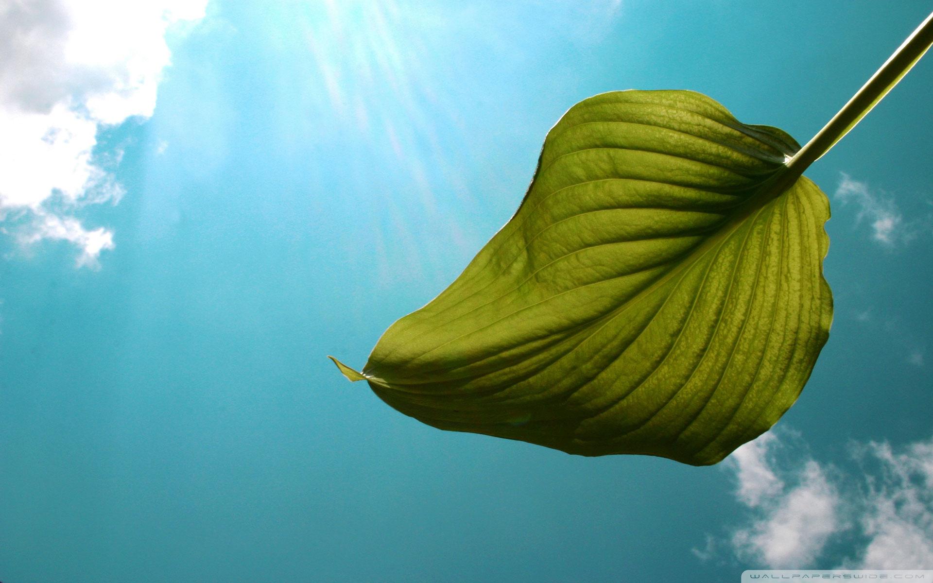 Serene Nature Wallpapers - Top Free Serene Nature Backgrounds ...