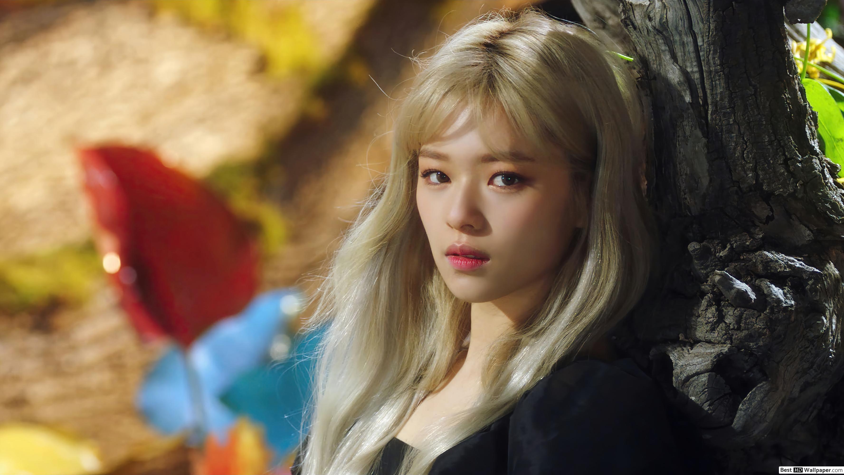 Jeong Yeon Wallpapers - Top Free Jeong Yeon Backgrounds - WallpaperAccess