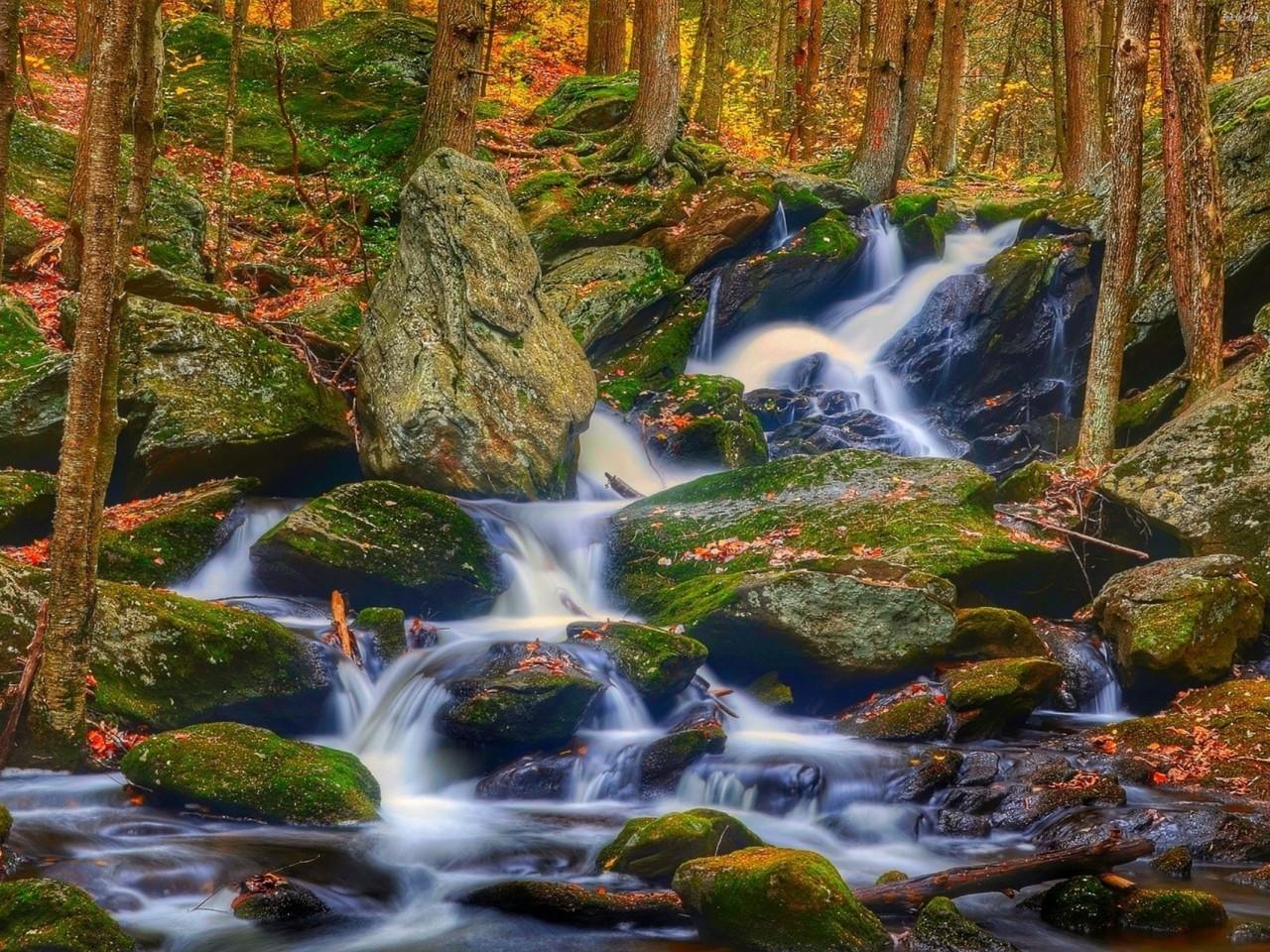 Neon Waterfall Wallpapers - Top Free Neon Waterfall Backgrounds ...