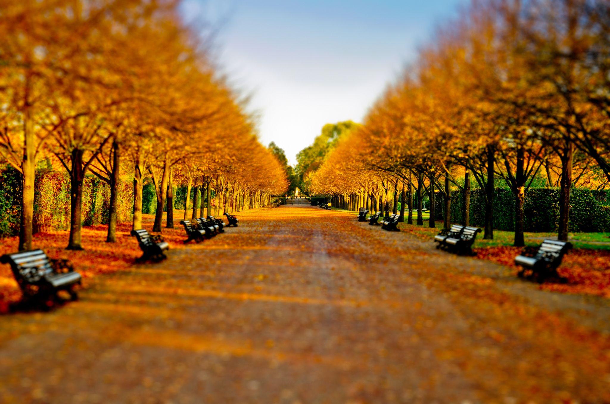 London in Autumn Wallpapers - Top Free London in Autumn Backgrounds ...