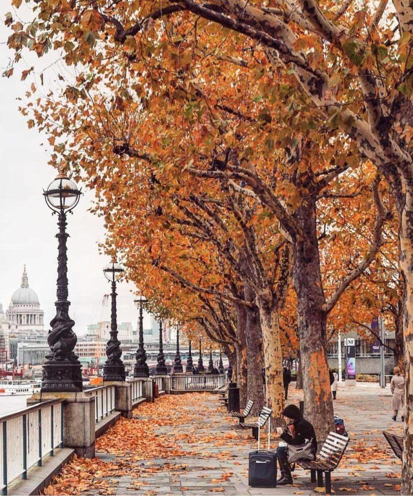 London in Autumn Wallpapers - Top Free London in Autumn Backgrounds ...
